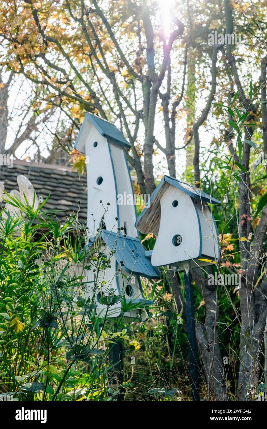 Birds haven in autumn hi-res stock photography and images - Alamy