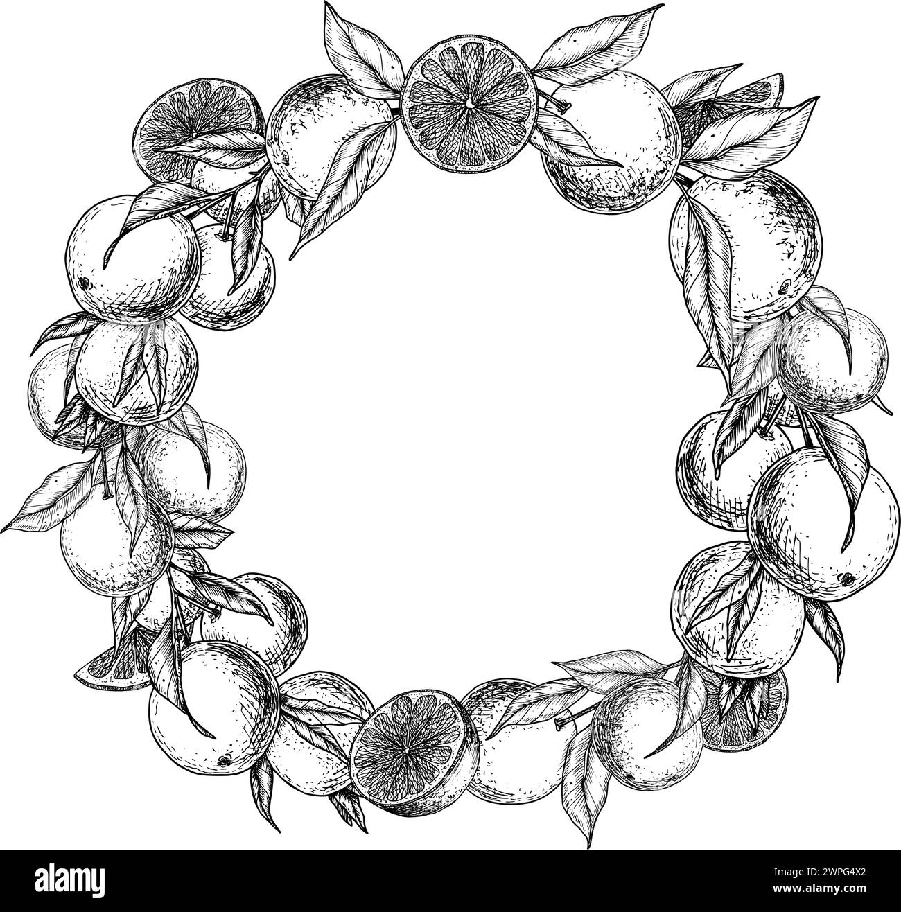 Wreath with Orange Fruits. Hand drawn vector illustration of circular ...