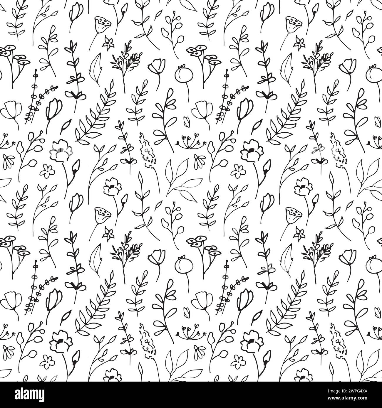 Plant seamless Pattern. Linear Vector illustration with herbs in doodle ...