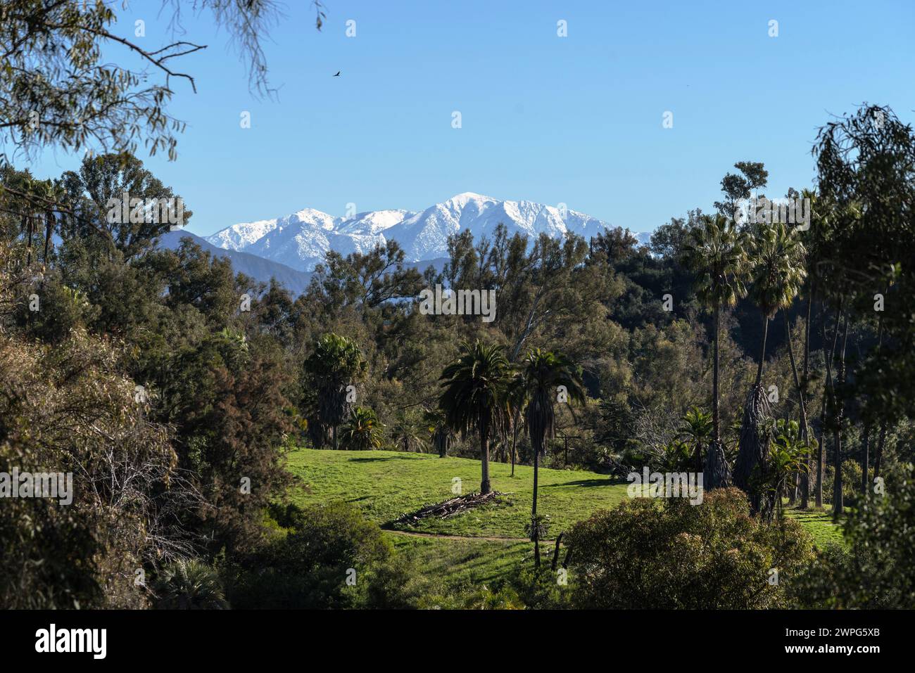 View of Elysian Park in Los Angeles California with snow capped Mt ...