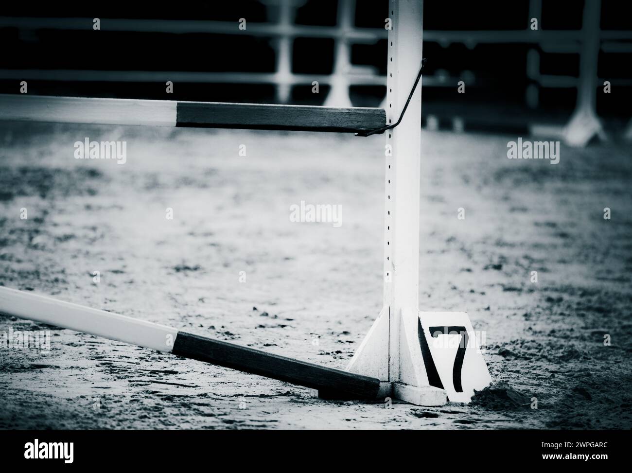 A black and white image of the showjumping barrier. Equestrian sports ...