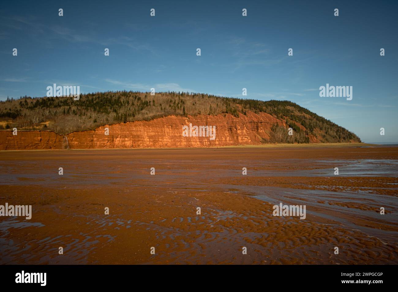 Blomidon at Low tide showing sandy beach and tidal pools with red clif ...