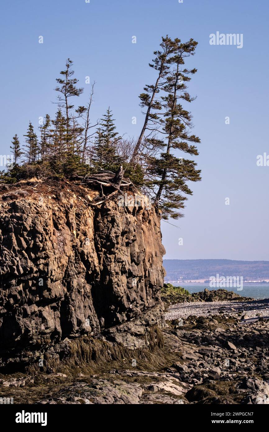 Bay of Fundy Rocky Shoreline showing rugged cliffs and clear blue sky ...