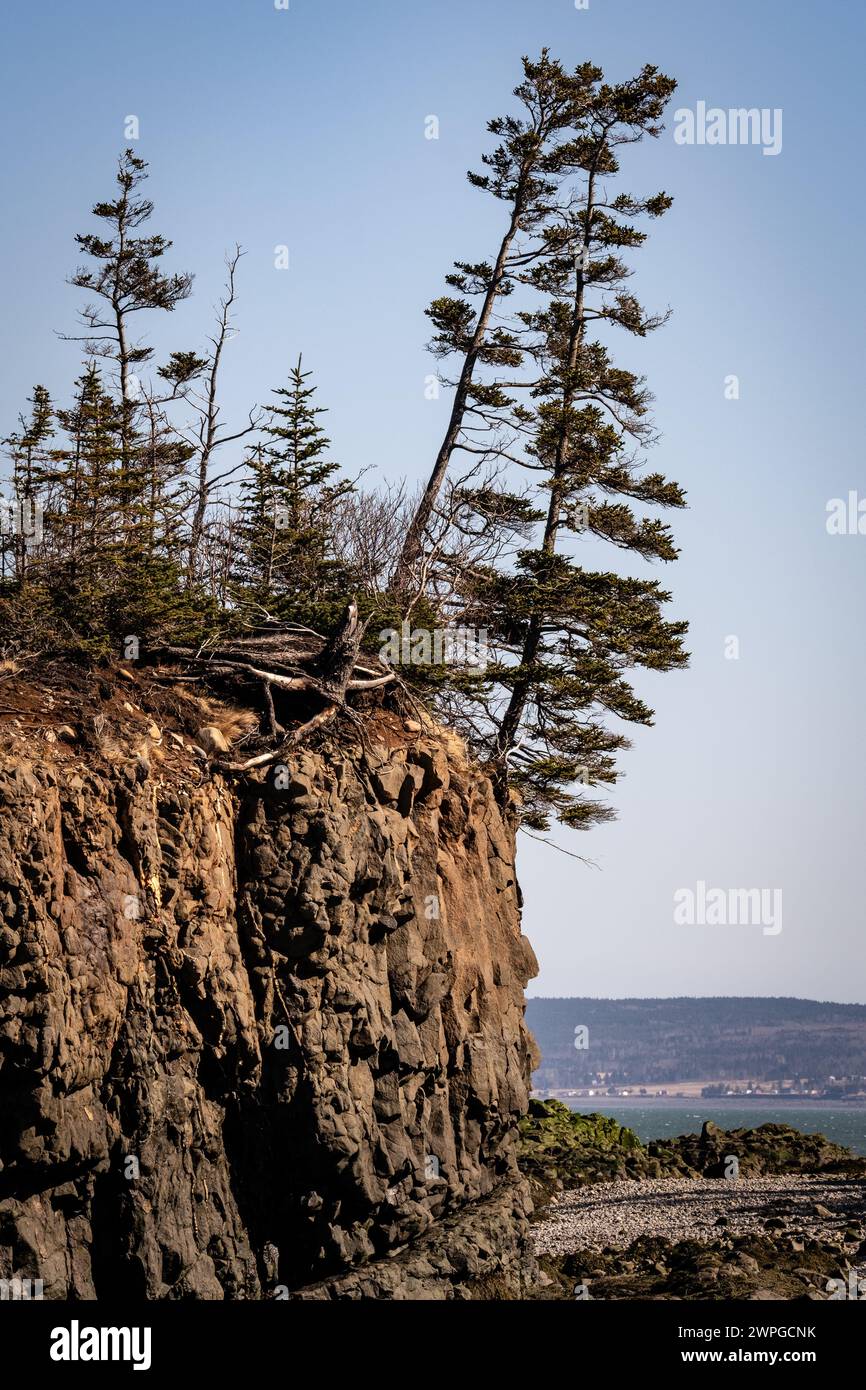 Bay of Fundy Rocky Shoreline showing rugged cliffs and clear blue sky ...
