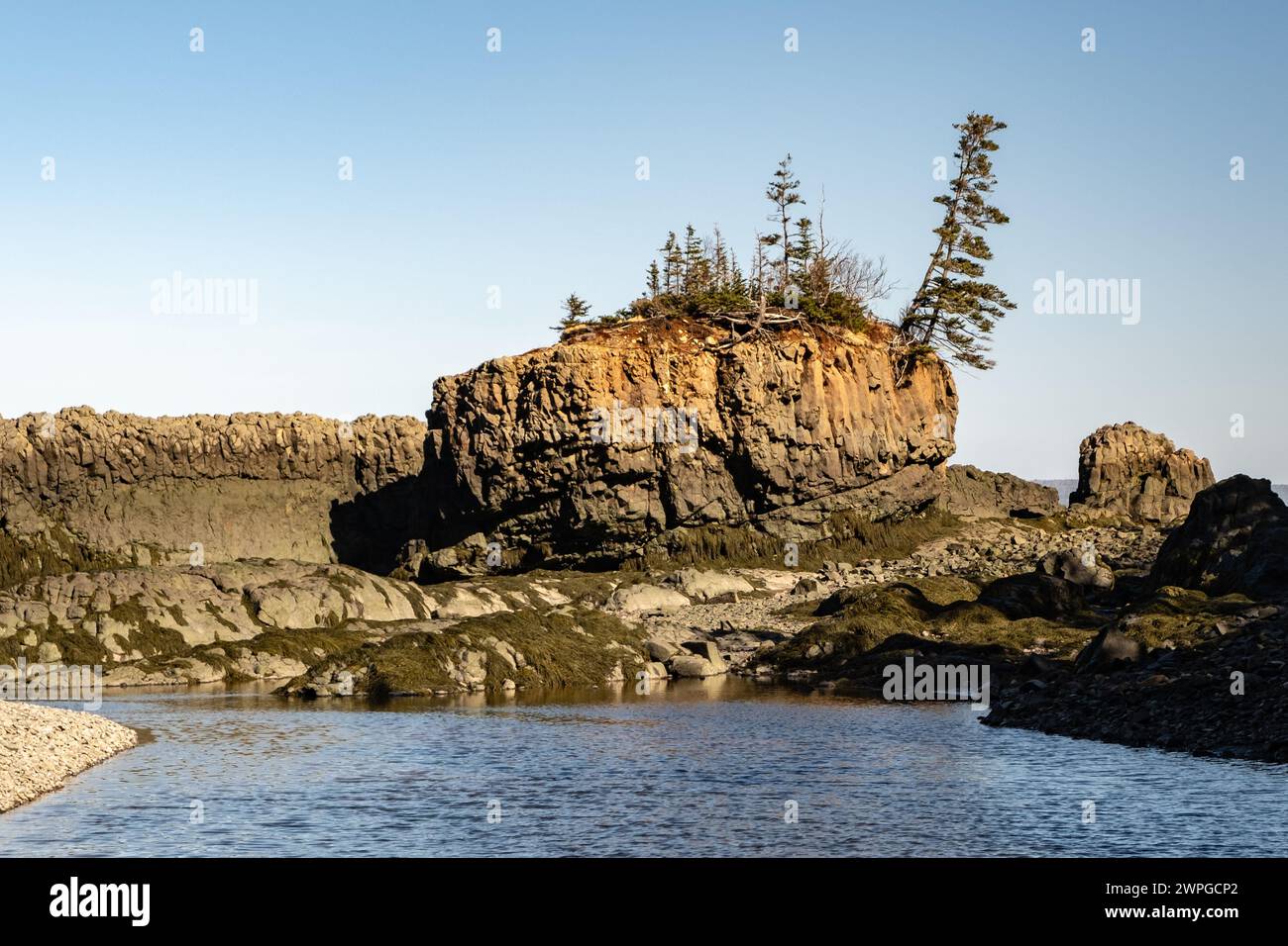 Bay of Fundy Rocky Shoreline showing rugged cliffs and clear blue sky ...