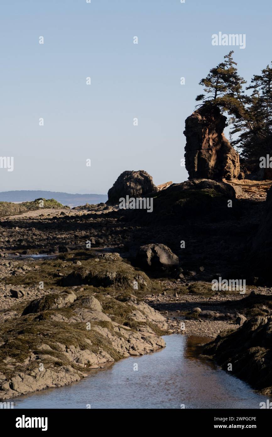 Bay of Fundy Rocky Shoreline showing rugged cliffs and clear blue sky ...