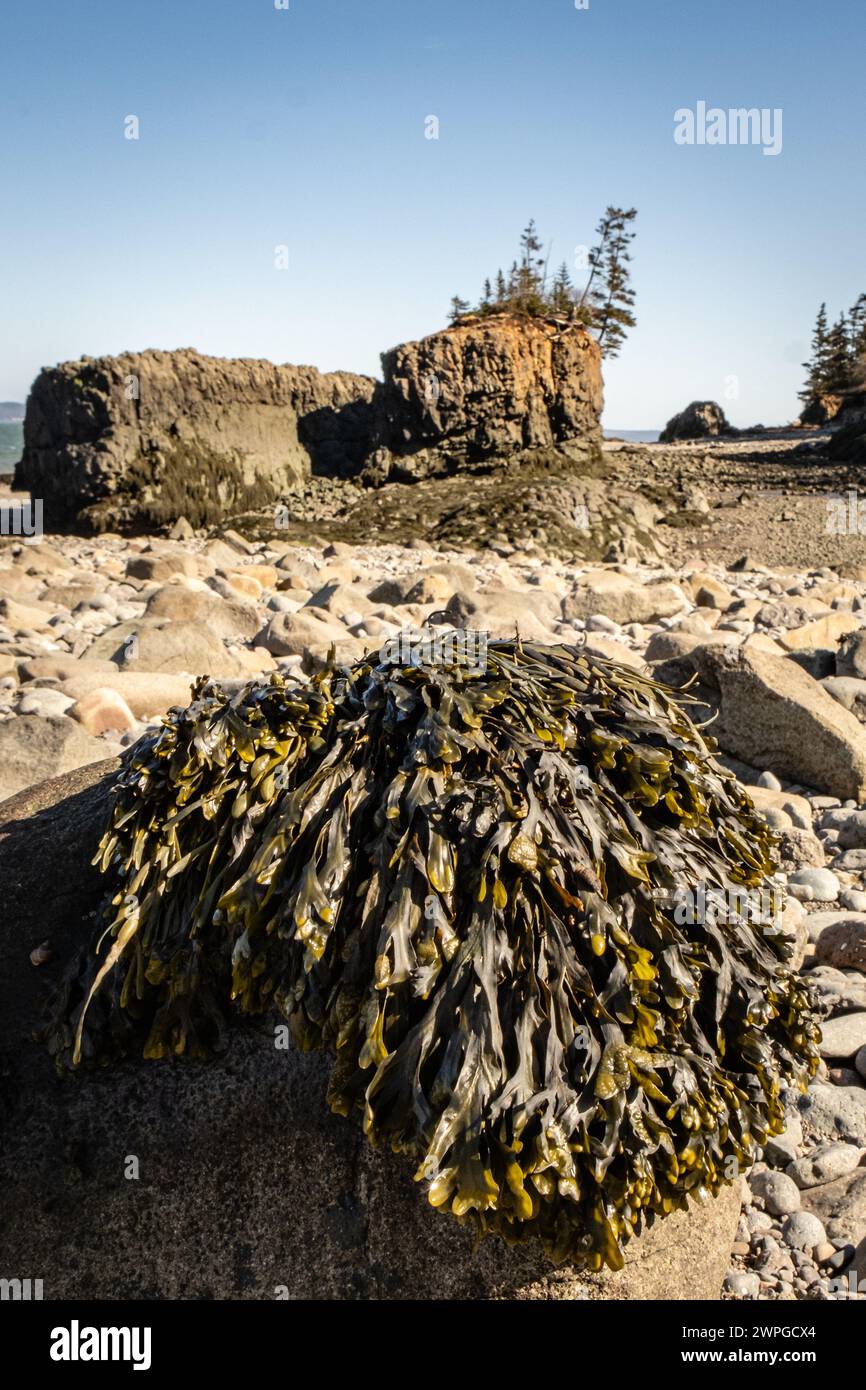 Formation landscape scenery hi-res stock photography and images - Alamy