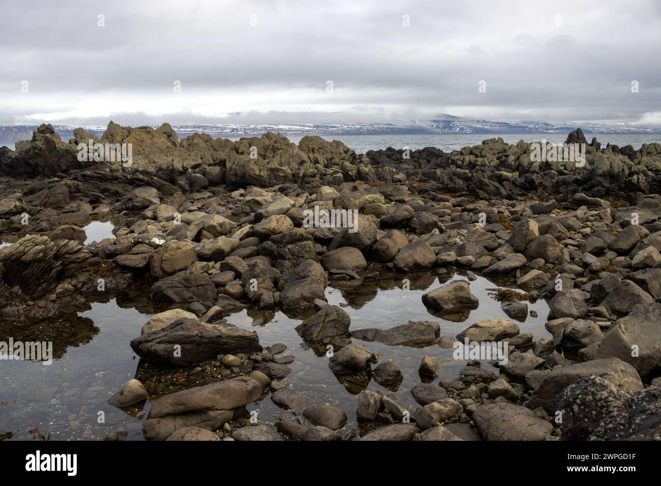 Atlantic ocean beach with many stones and rocks. Puddles among them ...