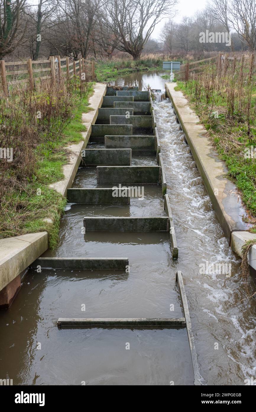 Allows fish to move freely in the river hi-res stock photography and ...