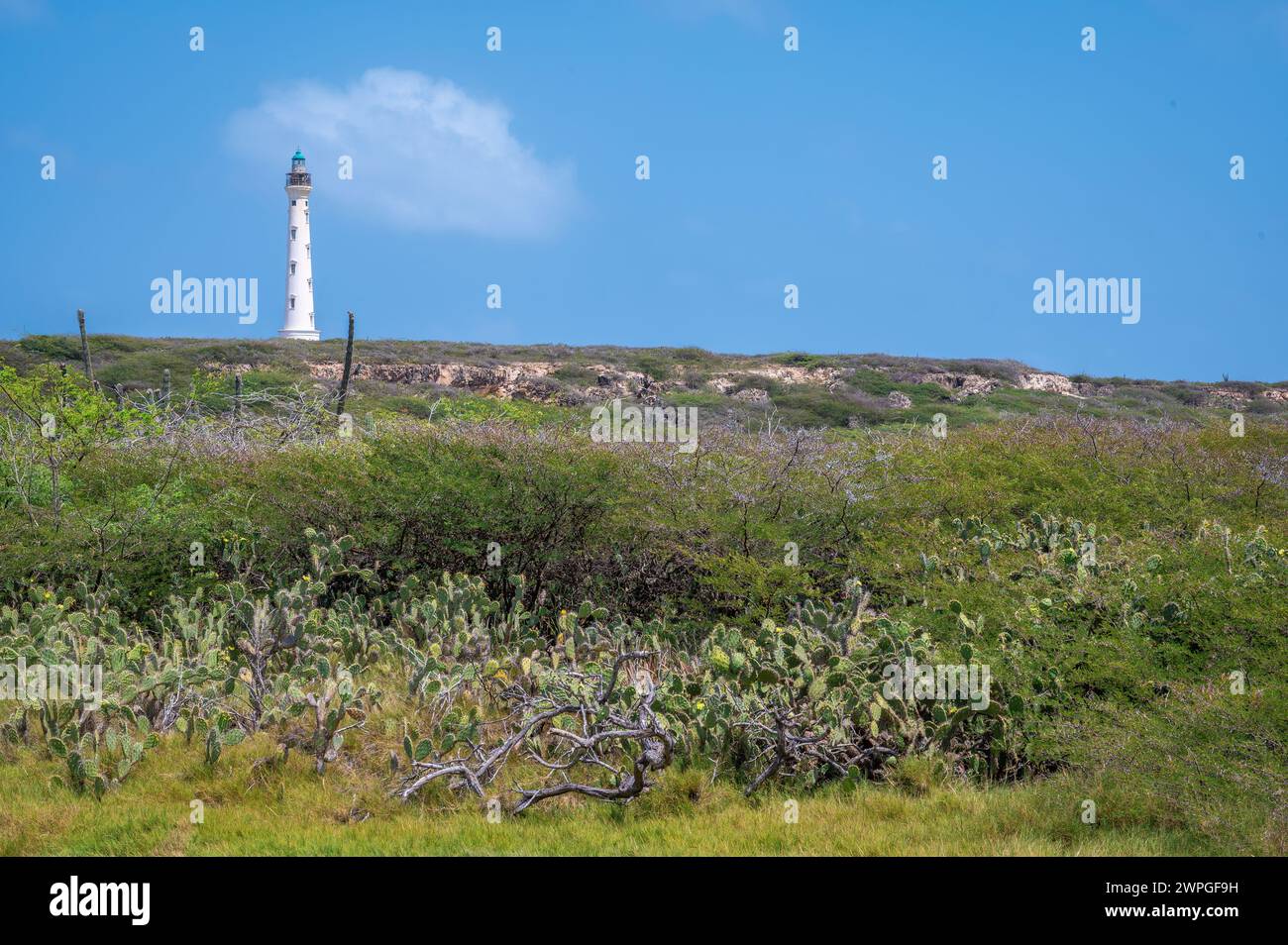 The California Lighthouse on the Caribbean island of Aruba Stock Photo ...