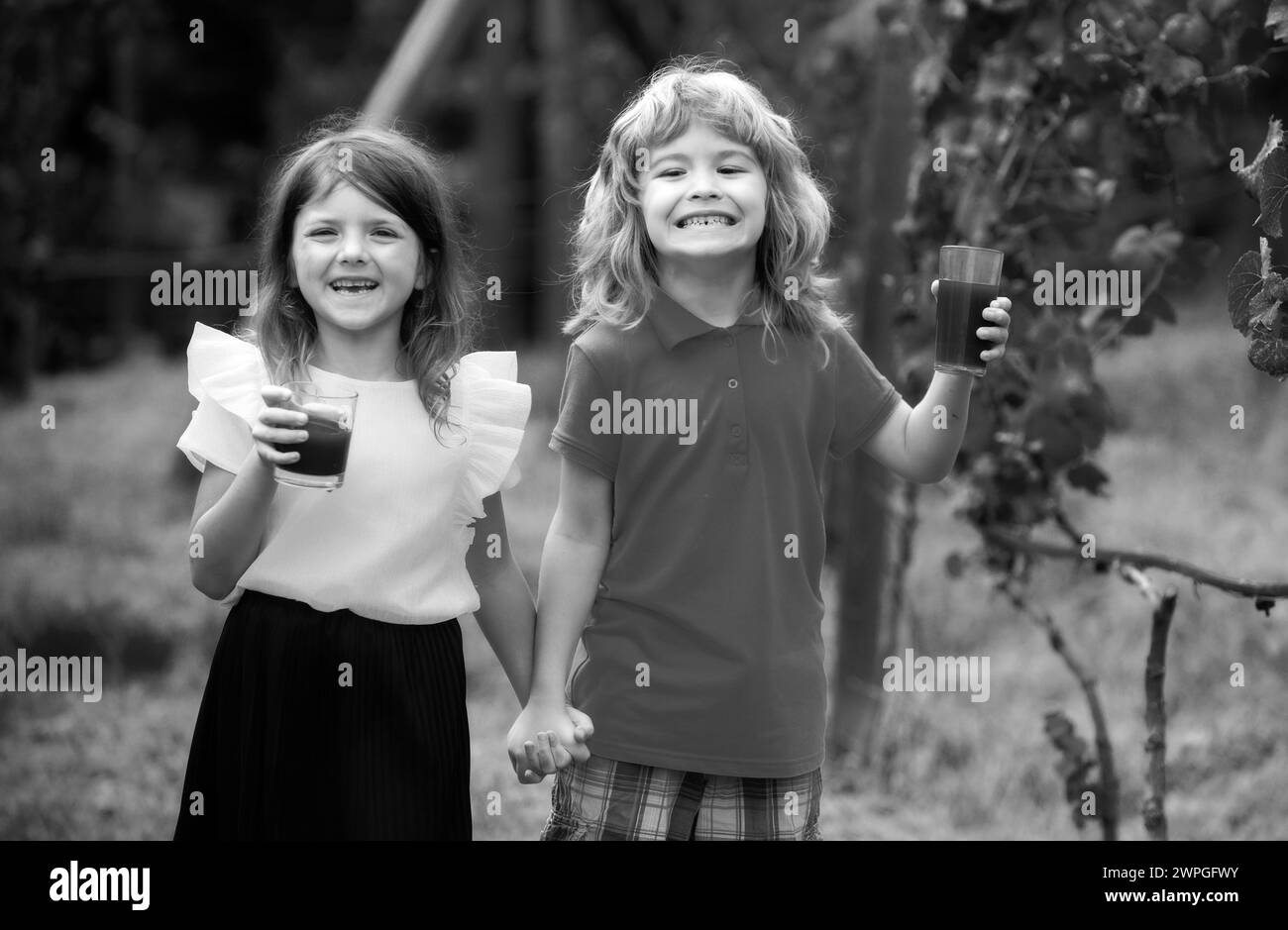 Two kids drink green smoothie outdoors at summer park. Brother and ...