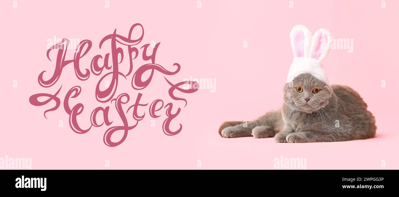 Easter banner with cute cat wearing bunny ears on pink background Stock ...