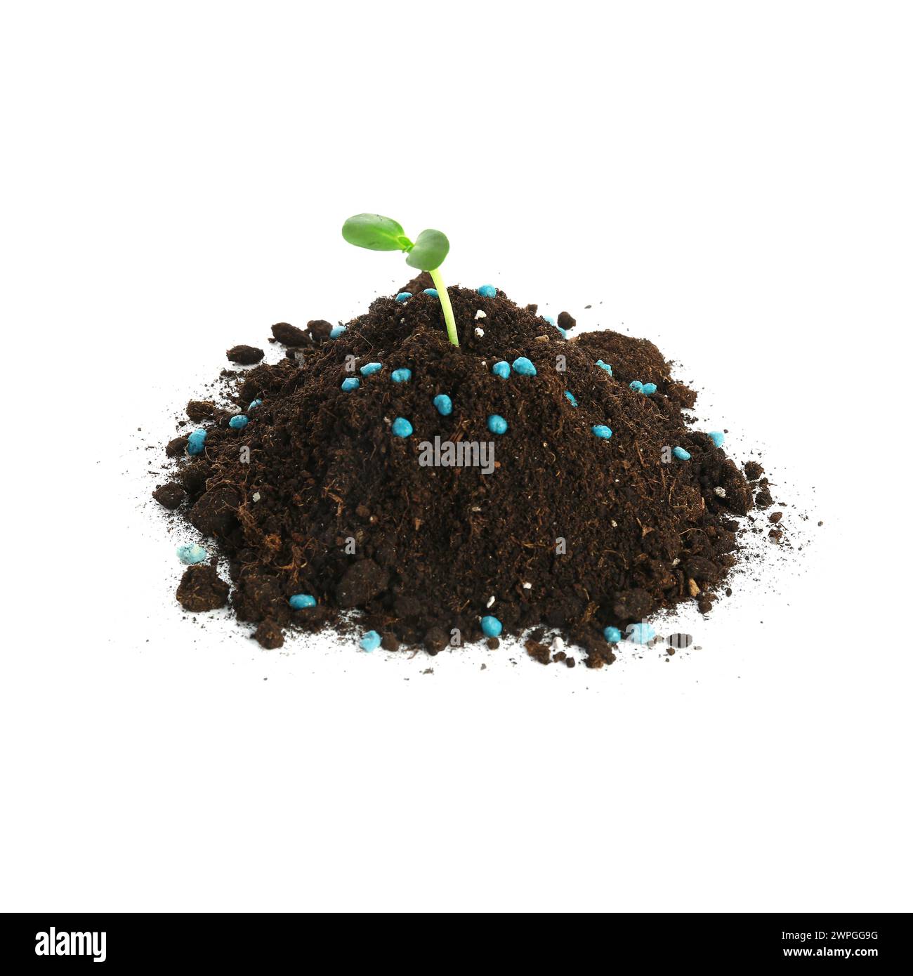 Green seedling growing from soil with blue granular fertilizer on white ...