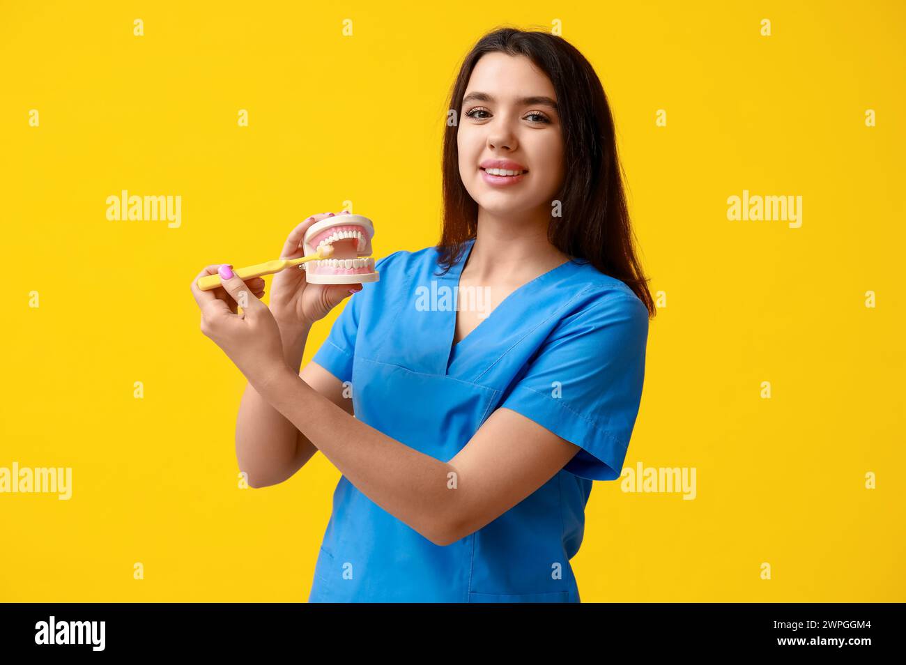 Female dentist with jaw model and toothbrush on yellow background ...