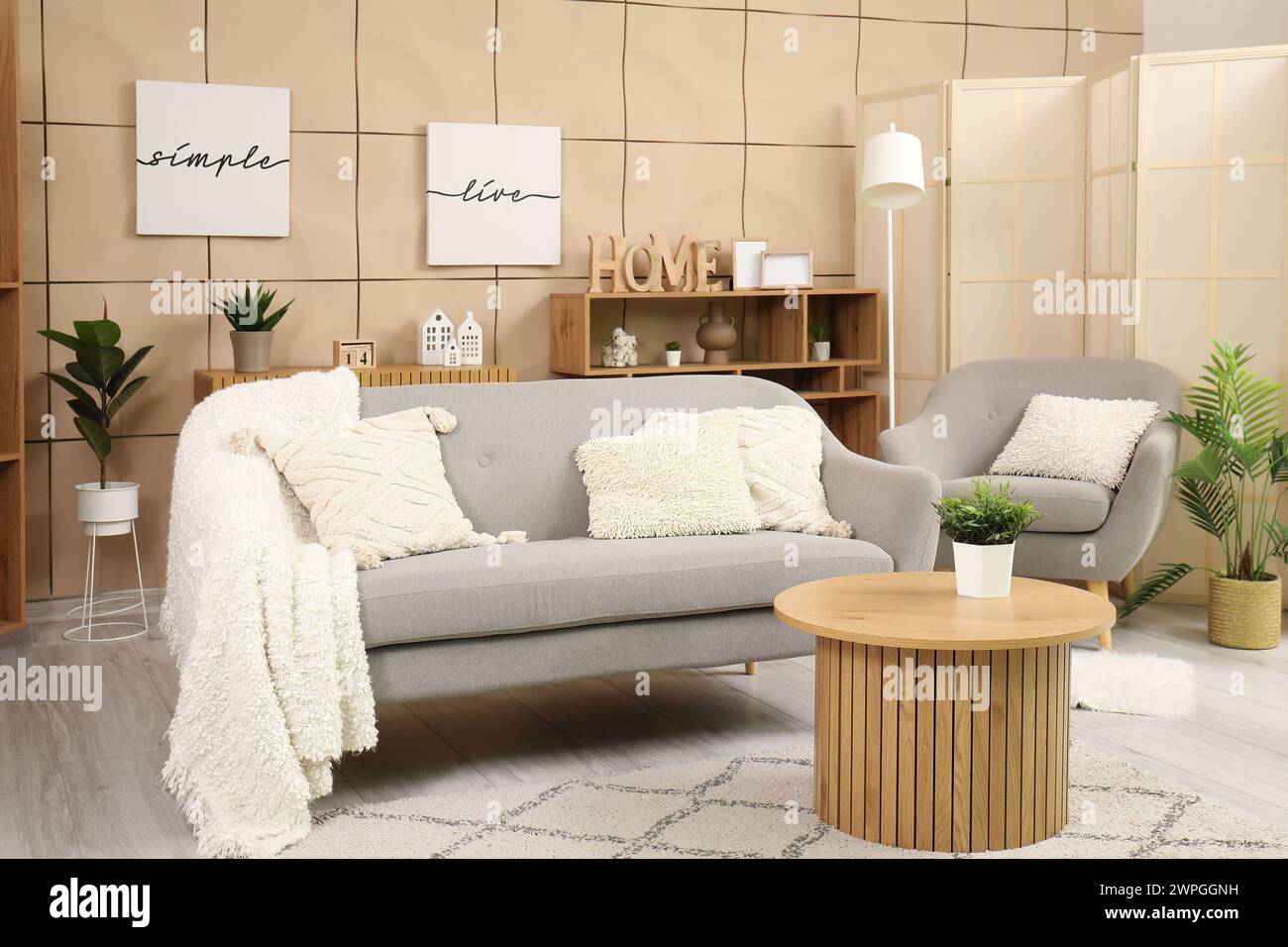 Stylish interior of modern living room with comfortable furniture Stock ...