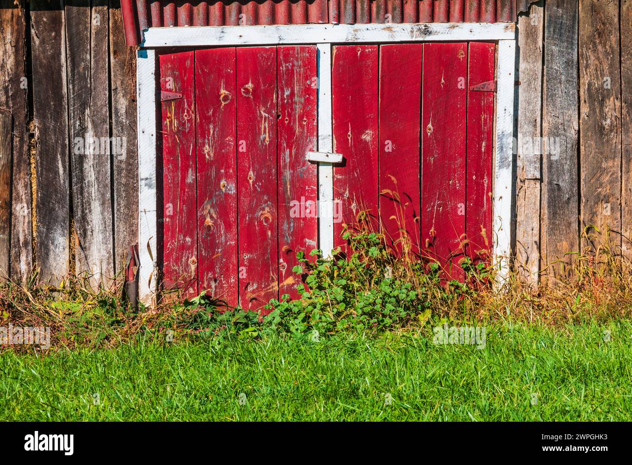 Barn with red doors on Blue Ridge Parkway in Virginia Stock Photo - Alamy