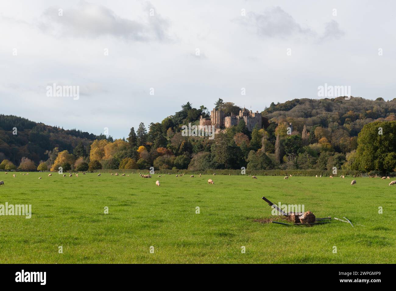 Landscape photo of the autumn colours at Dunster castle in Somerset ...