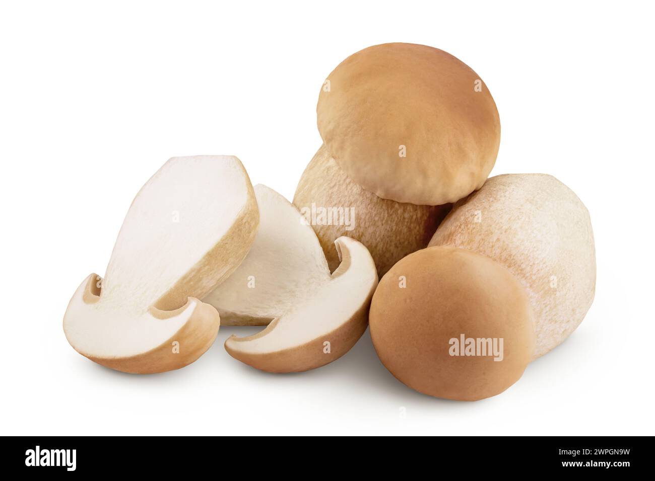 Fresh porcini cep mushroom isolated on white background with full depth ...