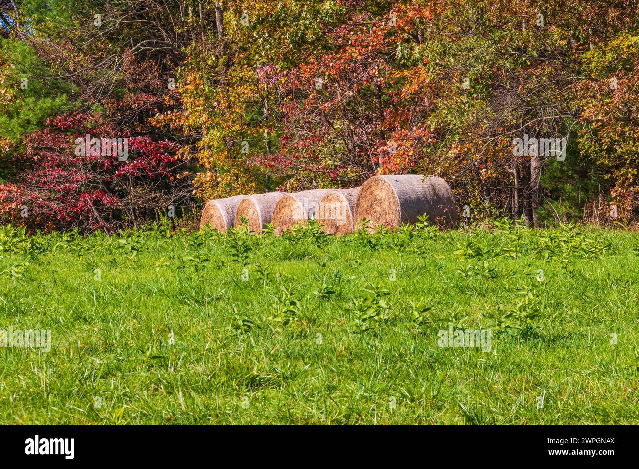 Hay bales along the Blue Ridge Parkway in Virginia Stock Photo - Alamy