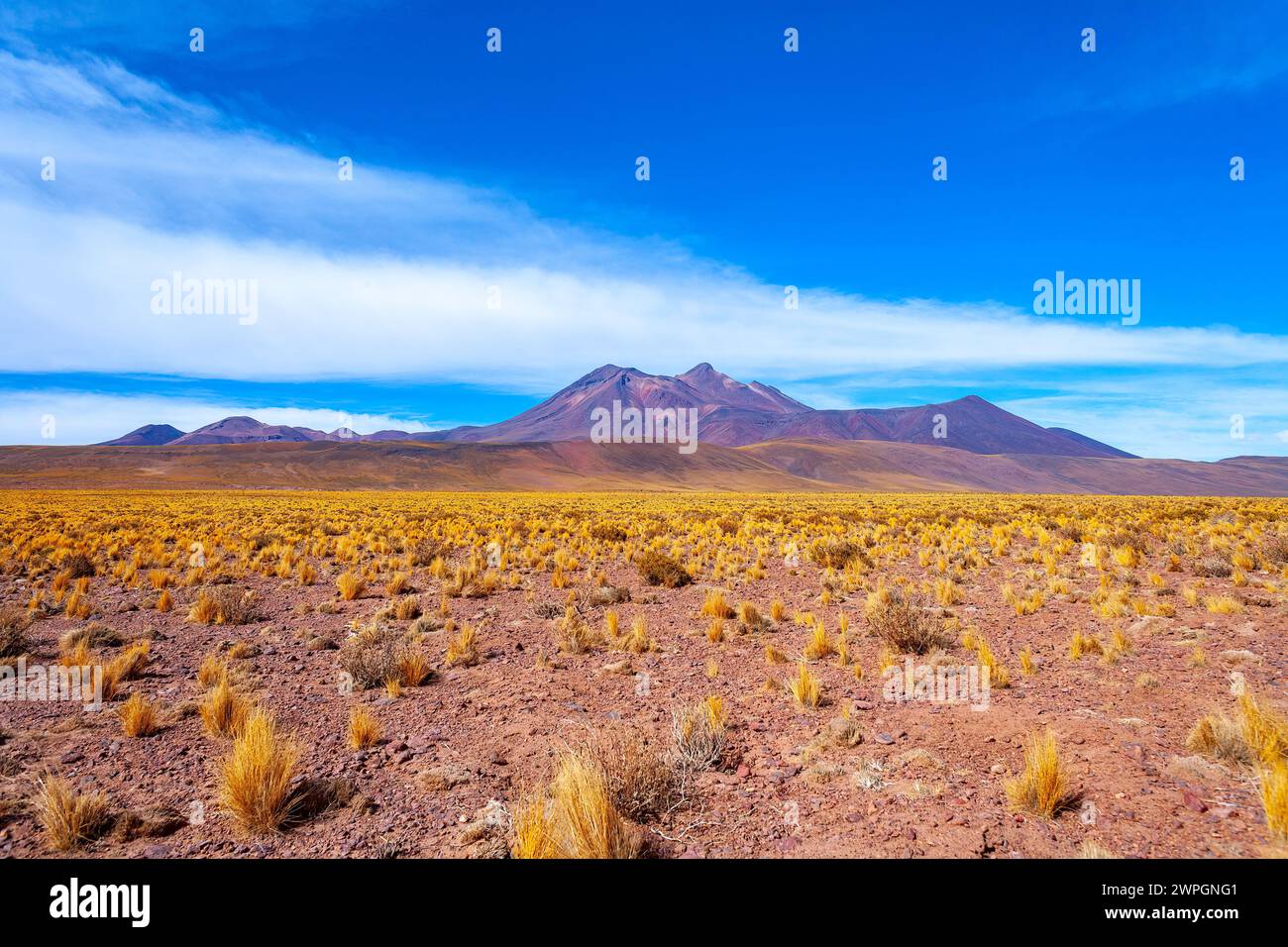 Cerro Miniques (Miniques hill) in the Altiplano (high Andean Plateau ...