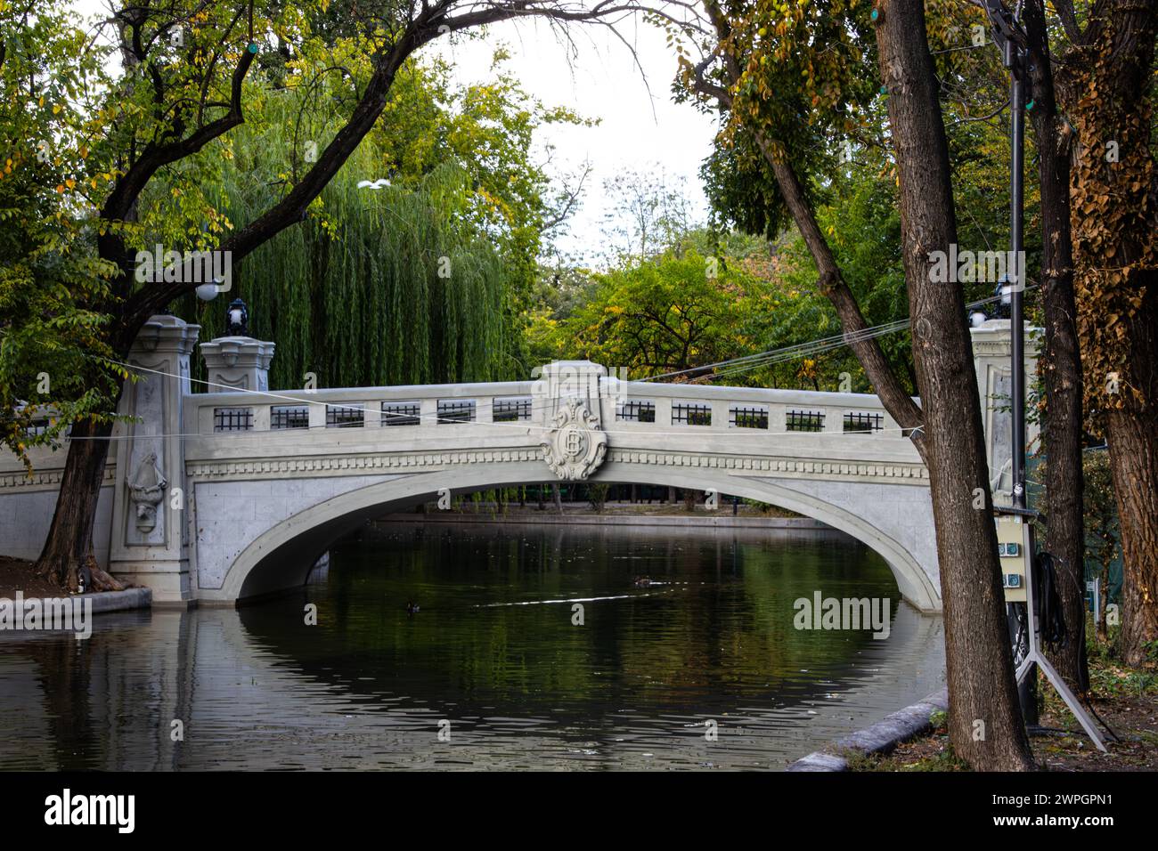 Bridge over the lake Cismigiu in Cismigiu garden, a famouis park in the ...