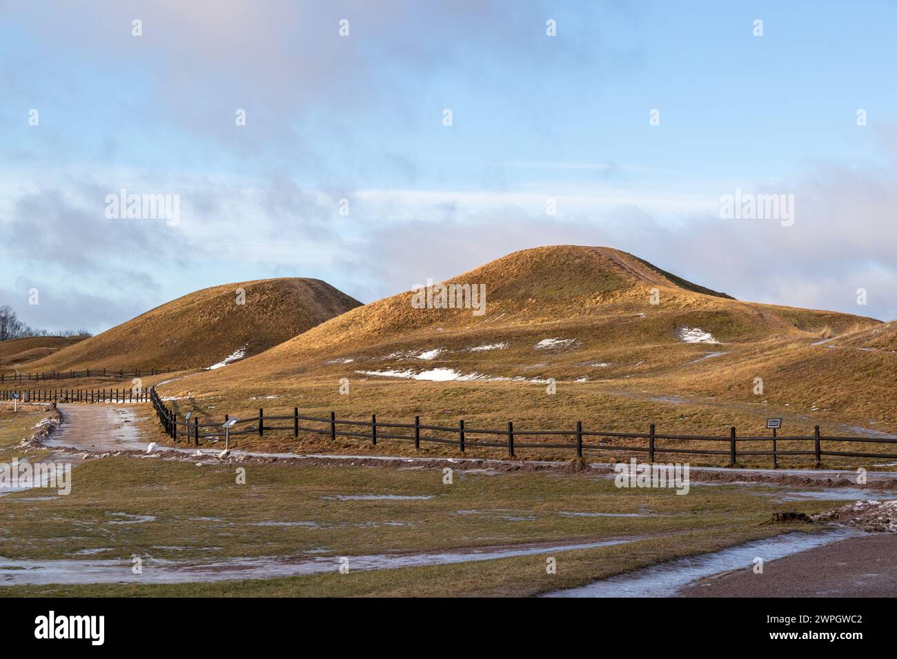 Burial mound covered with grass in culture landscape. Large oak trees ...
