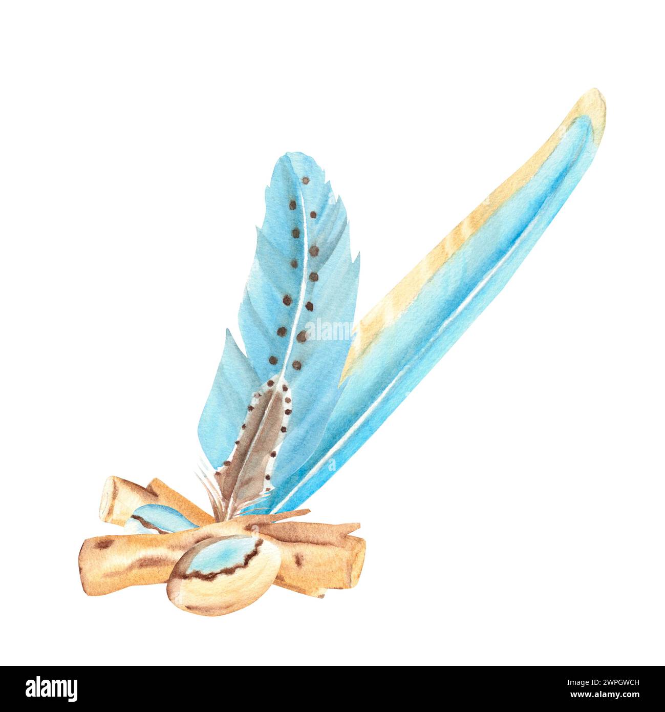 Watercolor composition from small sea shells and pebbles, wooden stocks ...