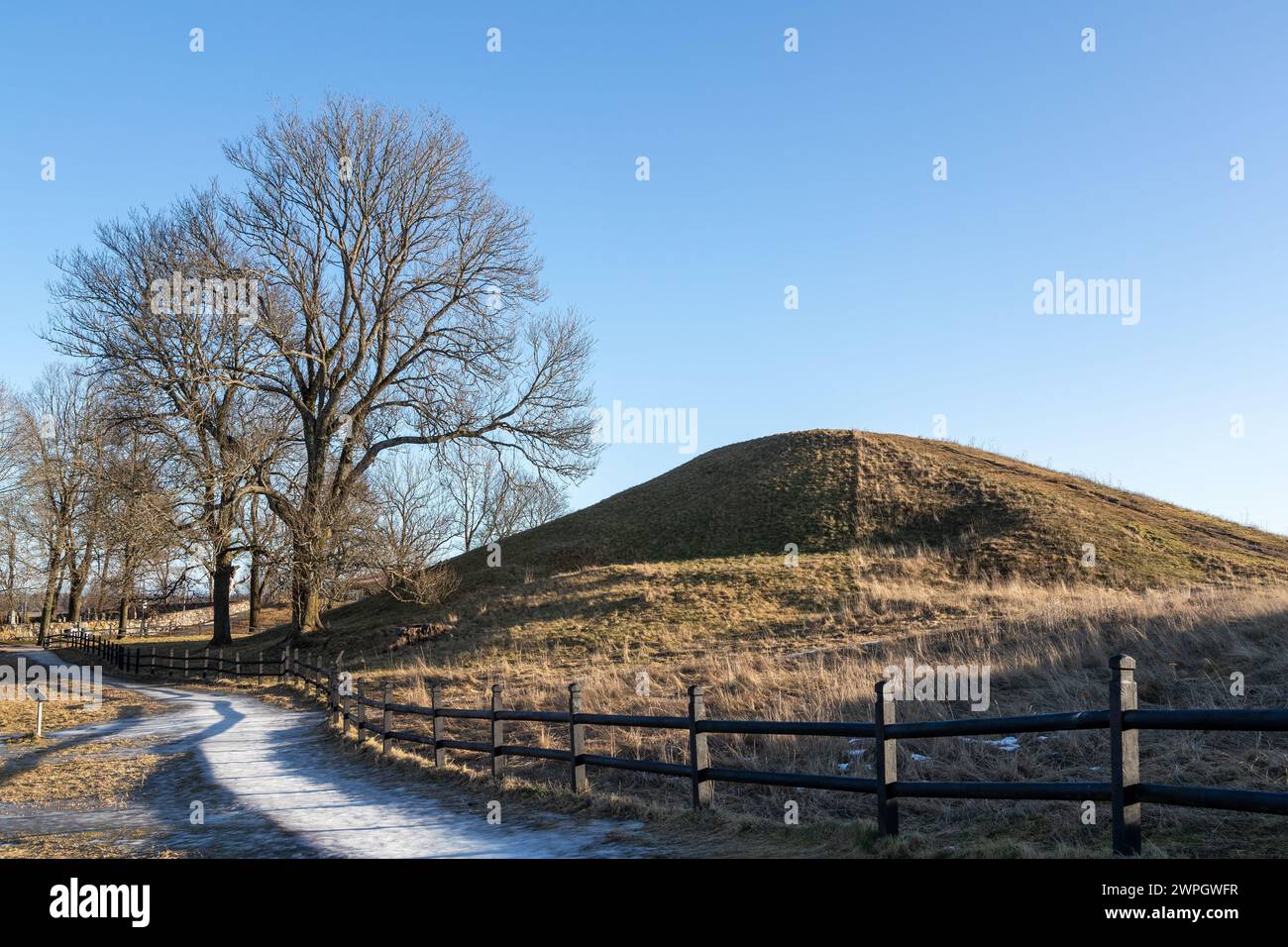 Burial mound covered with grass in culture landscape. Large oak trees ...