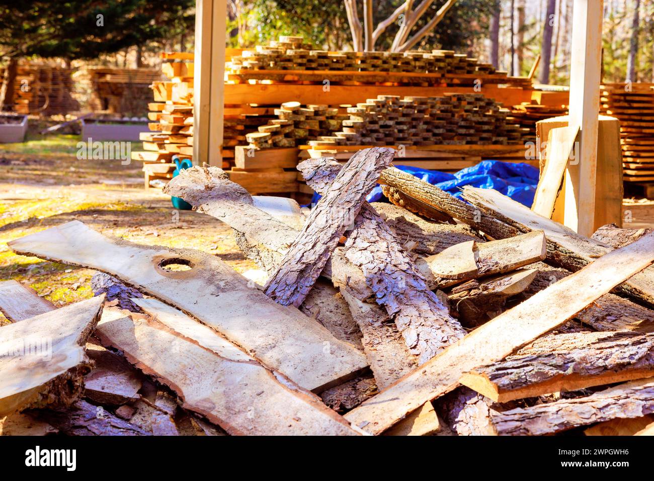 Wood scraps debris are stacked after sawing near sawmill Stock Photo ...