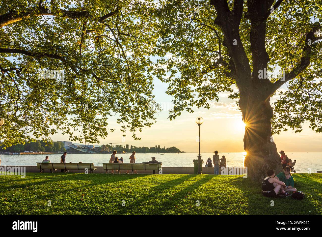 lake Bodensee Lake Constance, promenade Molo, people sitting on bench ...