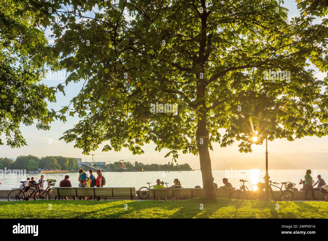 lake Bodensee Lake Constance, promenade Molo, people sitting on bench ...