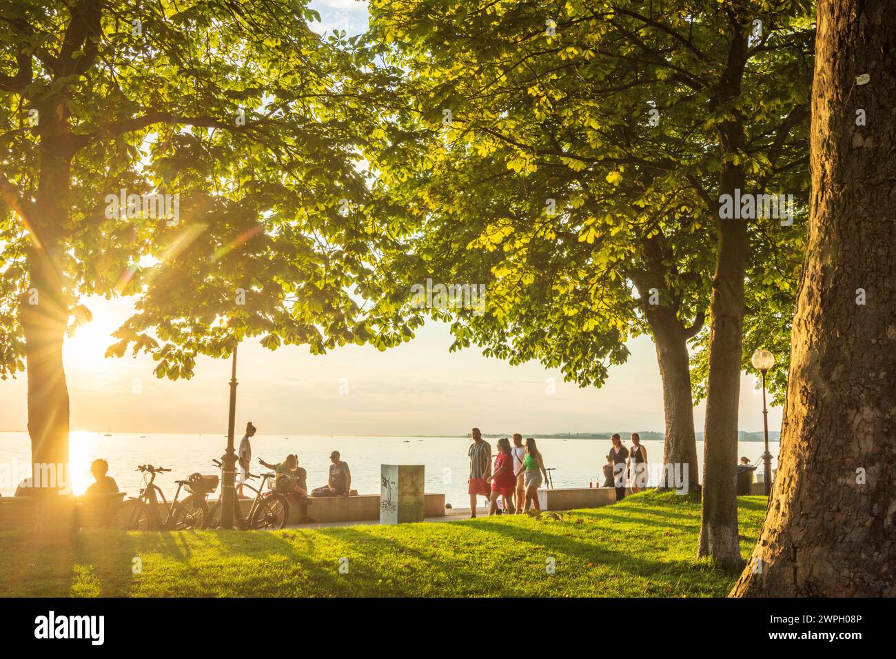 lake Bodensee Lake Constance, promenade Molo, people sitting on bench ...