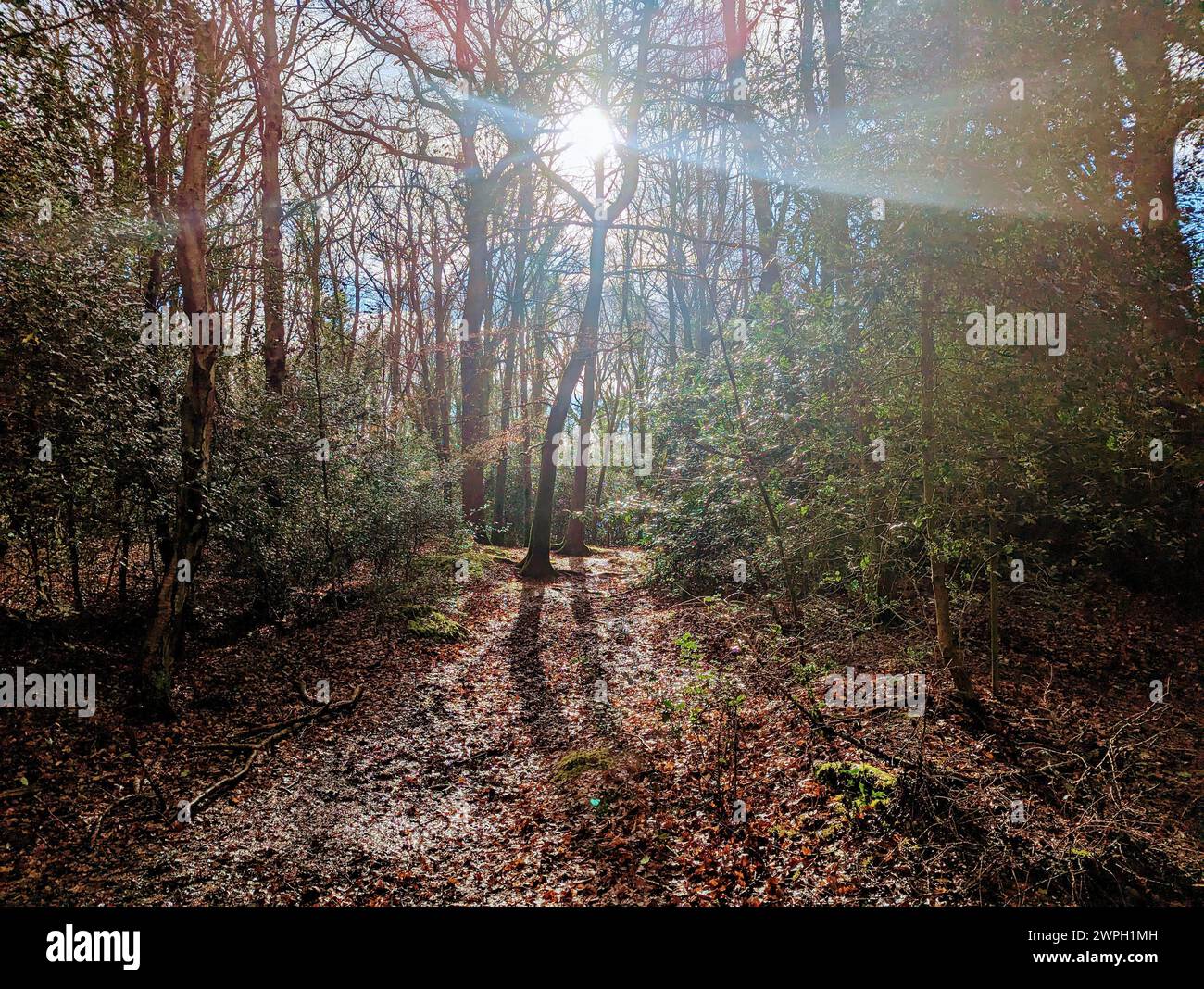Grim's dyke harrow hi-res stock photography and images - Alamy