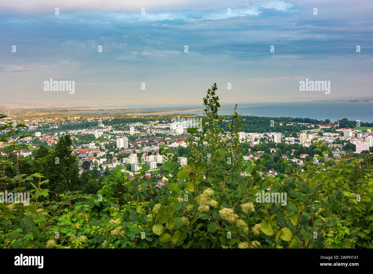 lake Bodensee Lake Constance, view to Bregenz and mouth of river Rhine ...