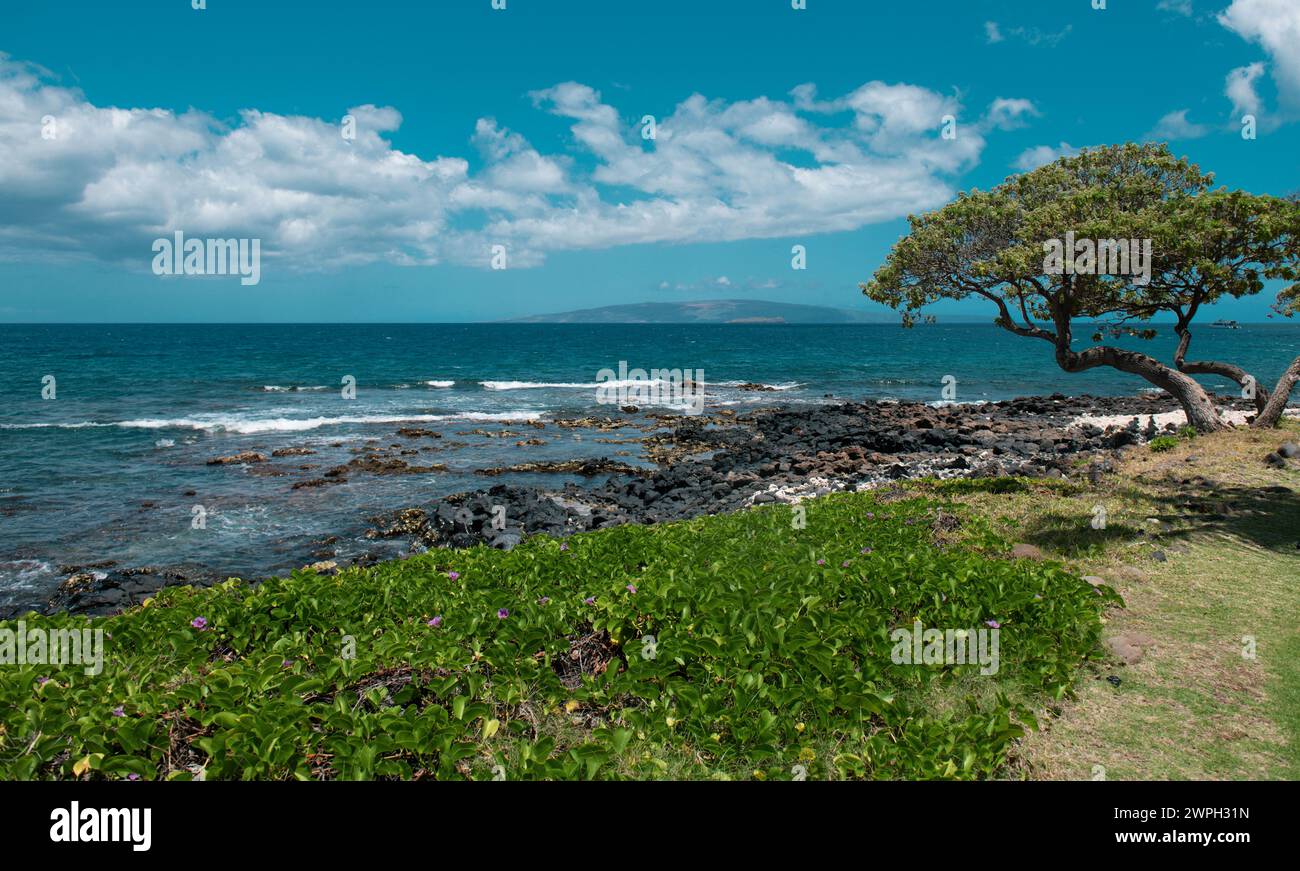 Scenic Hawaiian landscape. Scene Beach on the Island of Maui, Hawaii ...