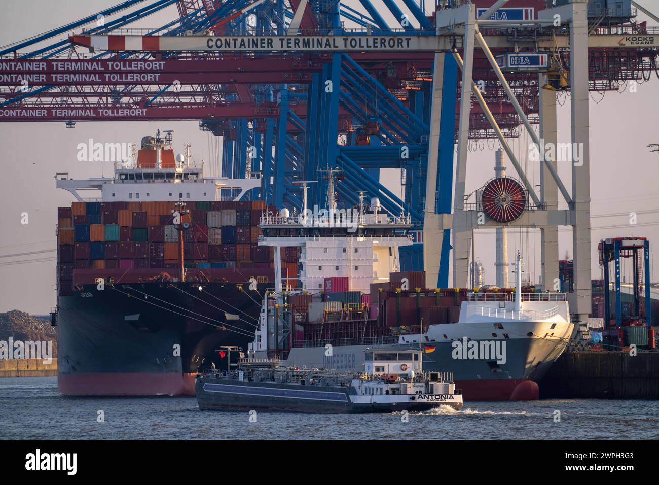 Containerterminal Tollerort, Containerschiffe werden be- und entladen ...