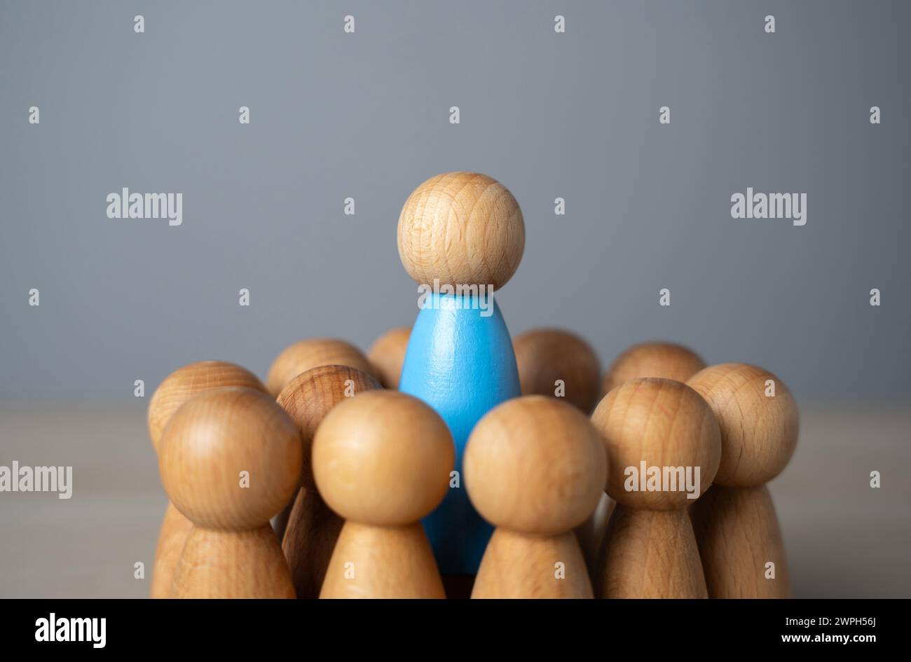 Lead the team. Be a leader. Project manager. Discipline and teamwork ...