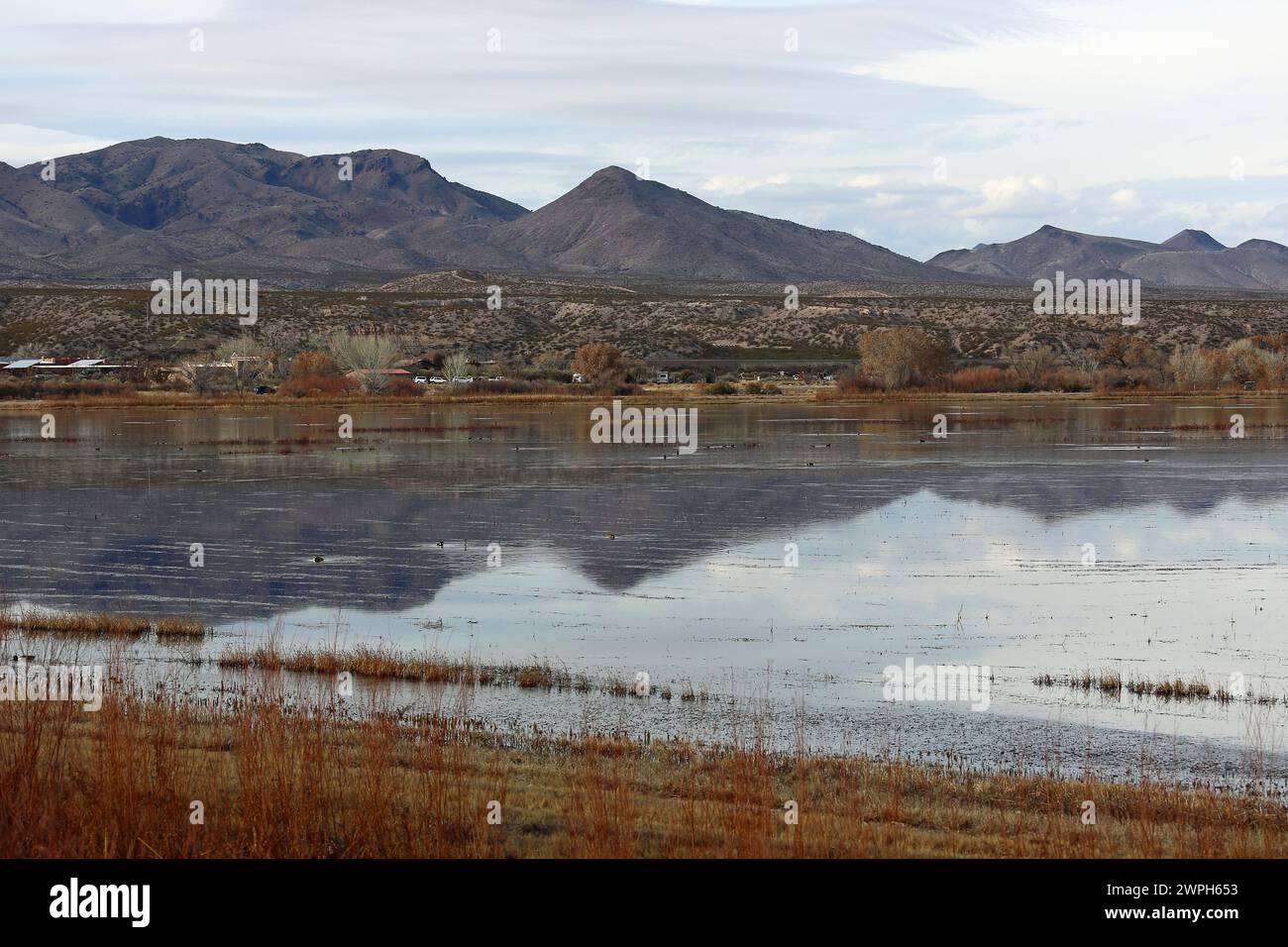 Bosque del Apache, New Mexico Stock Photo - Alamy
