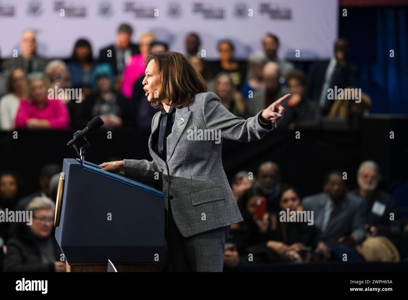 Vice President Kamala Harris gestures dramatically to a crowd during ...