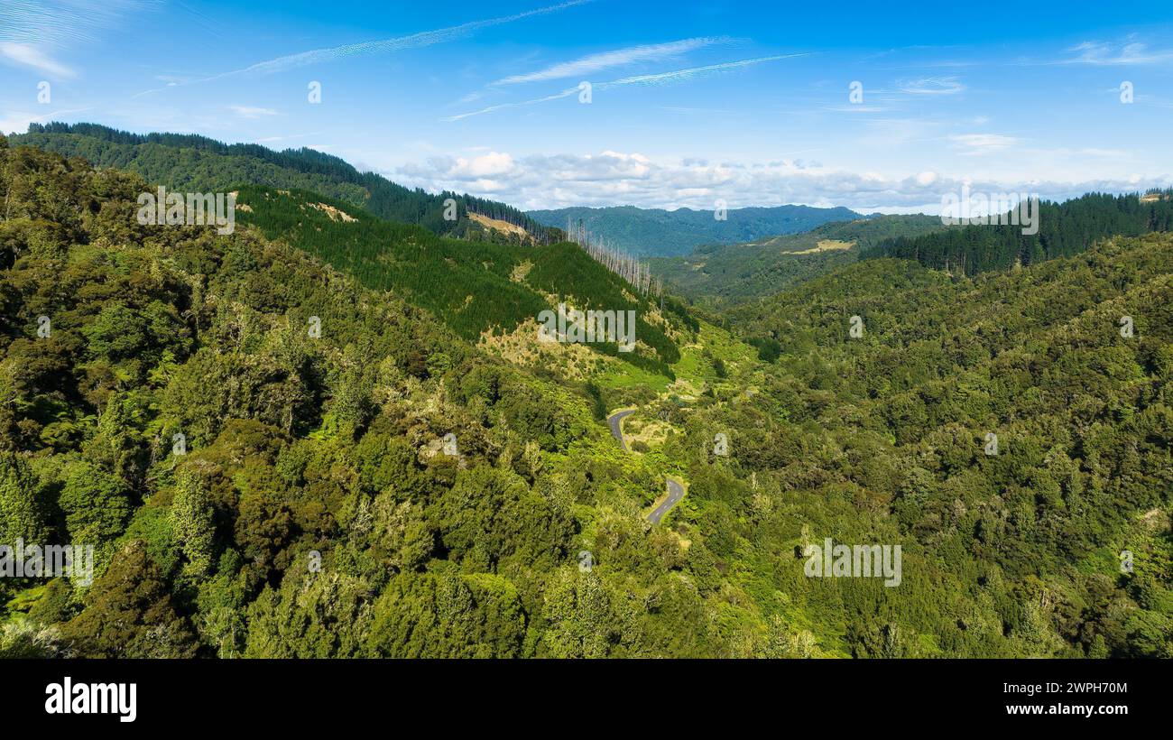Aerial view of NZ's magnificent lush dense native bush and Forest Stock ...