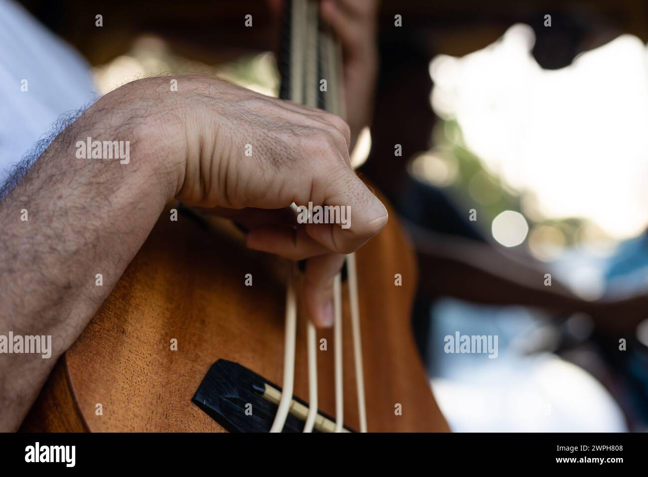 Bass player with hands making chords. Professional musician Stock Photo ...
