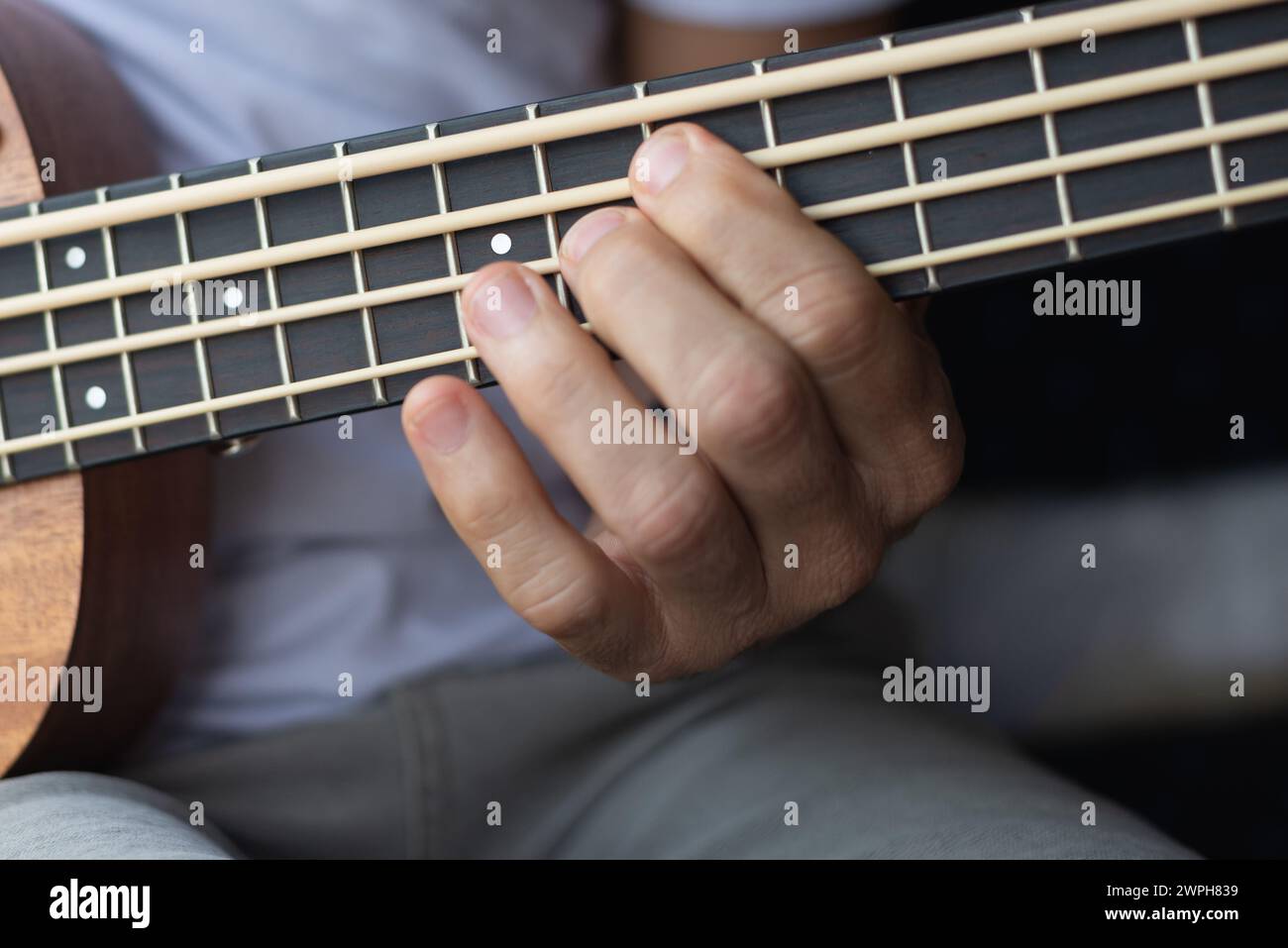 Detail of a hand playing a double bass with special strings ...