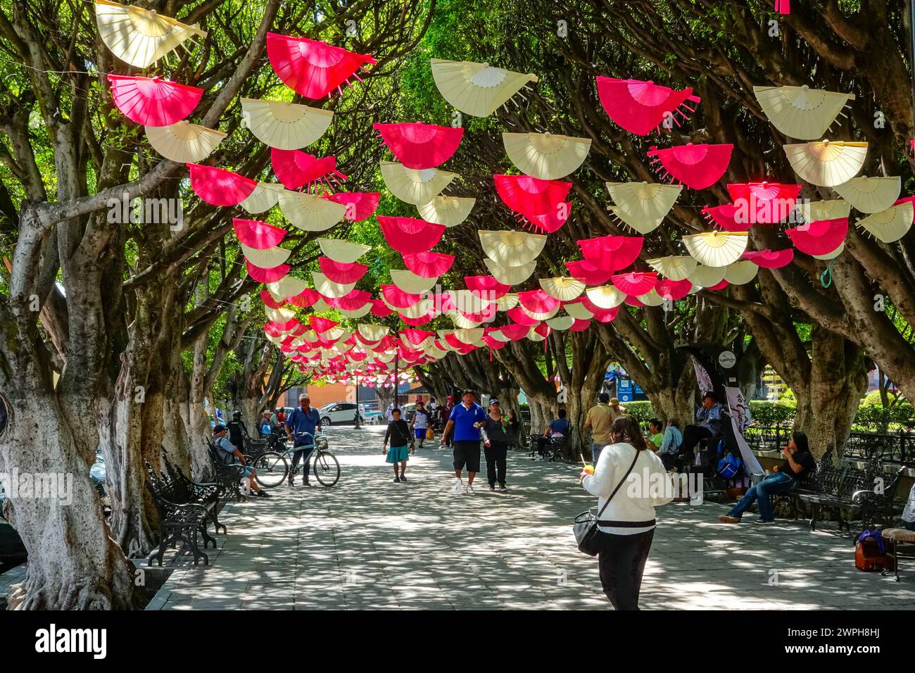 Colorful paper picado flags decorate the tranquil Jardin de Salvatierra ...
