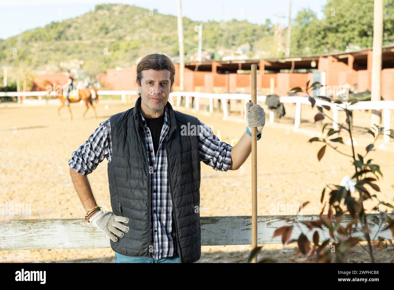 Belgian horse with owner hi-res stock photography and images - Alamy