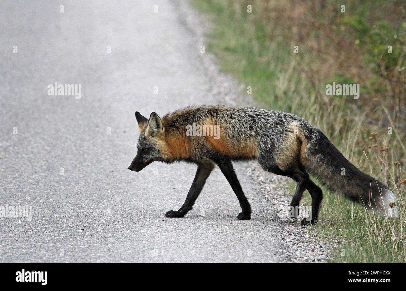 Fox valley road hi-res stock photography and images - Alamy