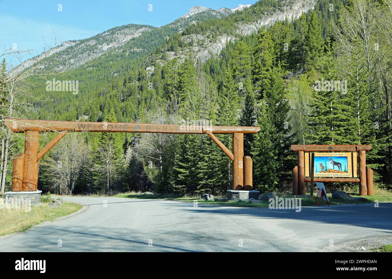 Bow valley parkway forest hi-res stock photography and images - Alamy