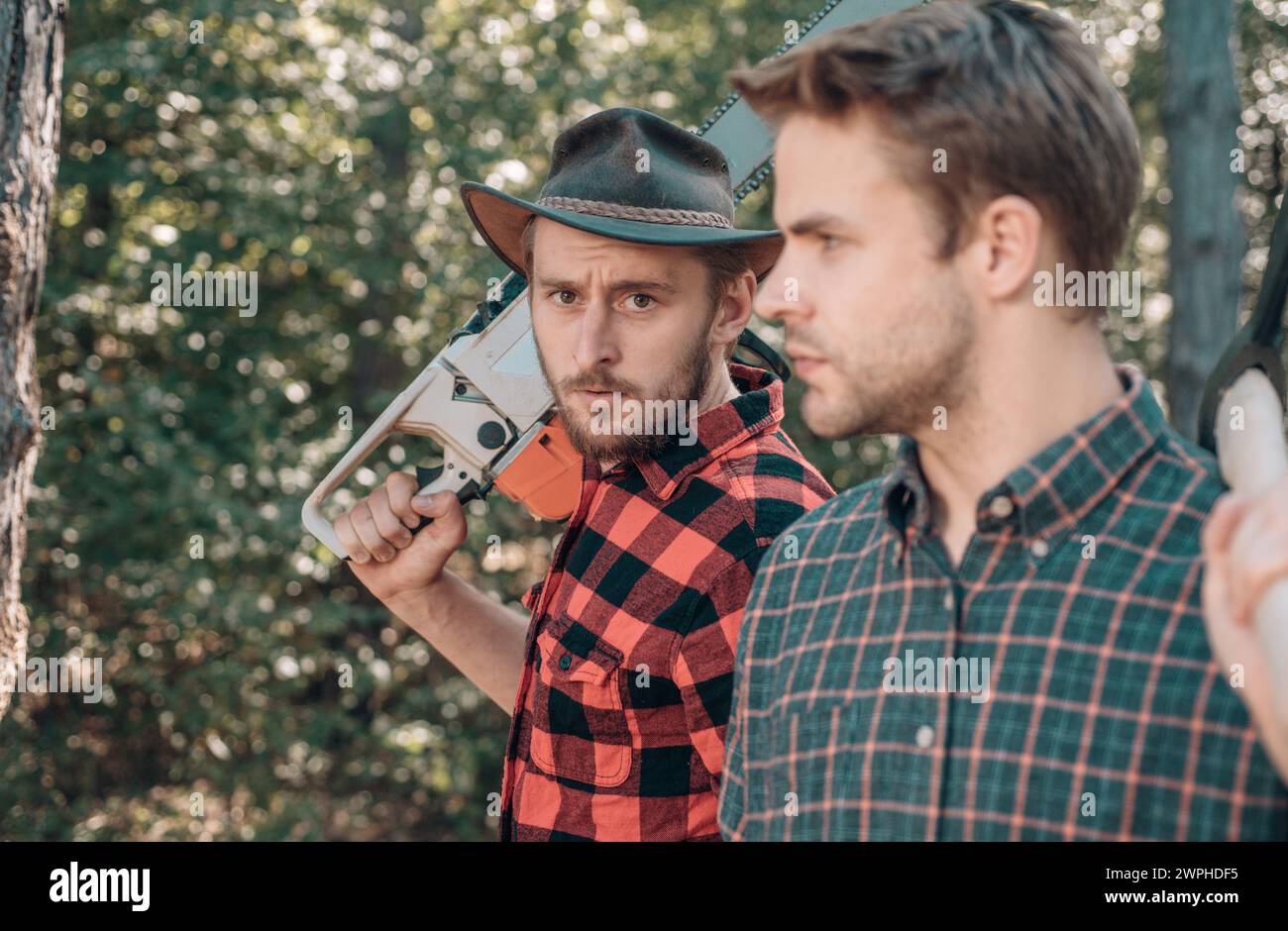 Two men cutting log in forest hi-res stock photography and images - Alamy
