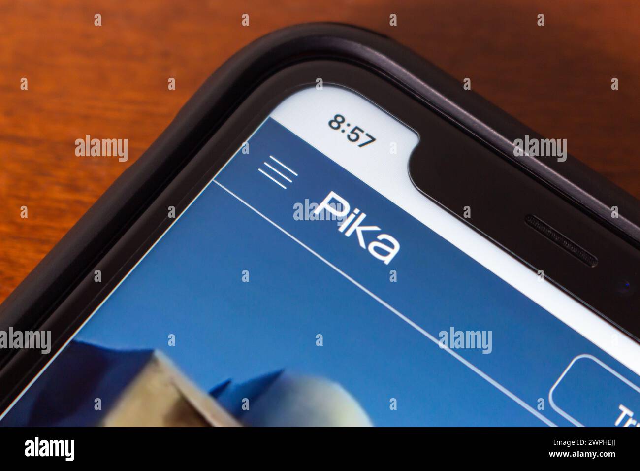 Website of Pika (Pika.art) seen in an iPhone screen. Pika is the video ...