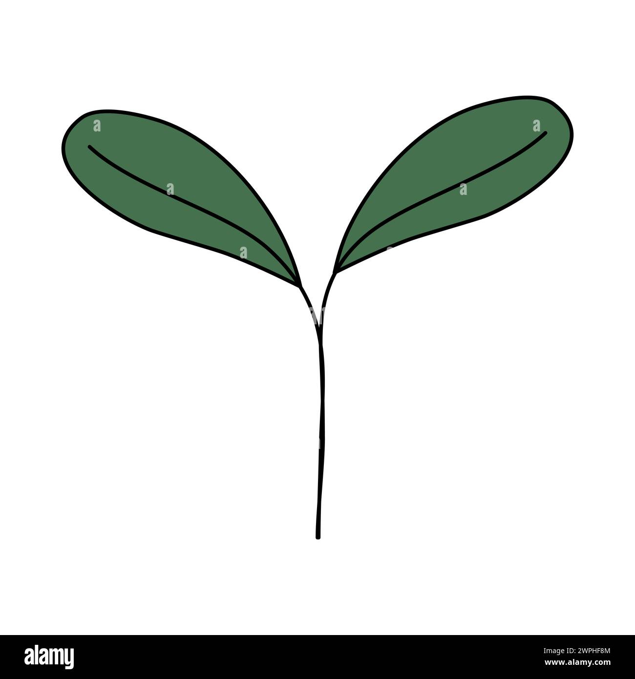 Fresh young plant sprout, spring design element, vector illustration ...