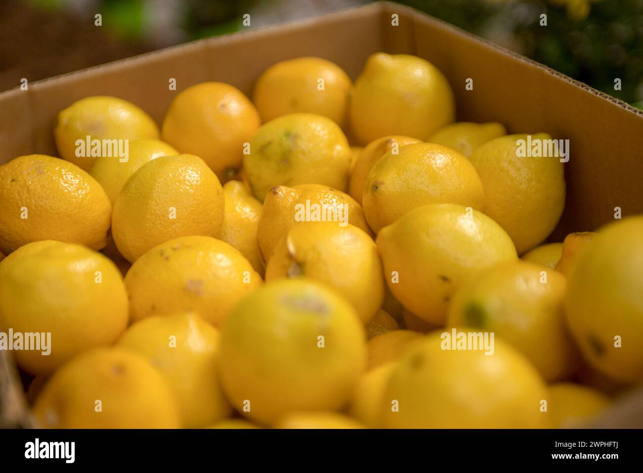 When life gives you lemons make lemonade hi-res stock photography and ...